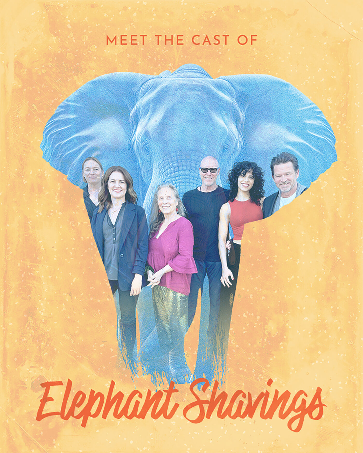 Elephant Shavings | Odyssey Theatre Ensemble